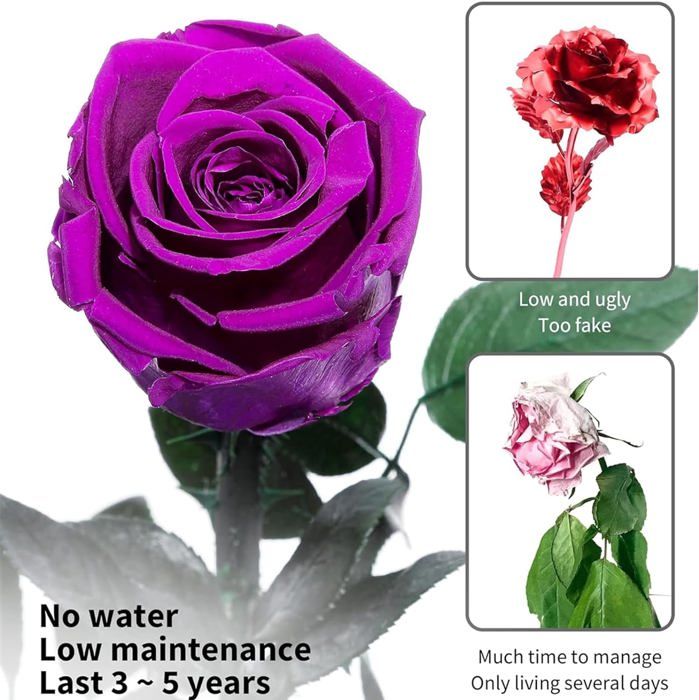 Rose éternelle rouge avec tige – Véritable rose préservée dans une ...