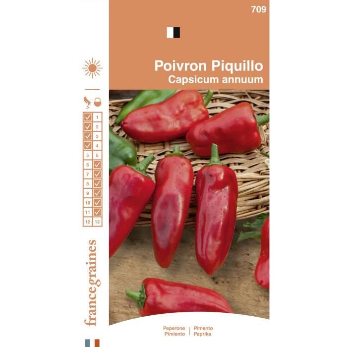 Graine poivron - Achat / Vente pas cher