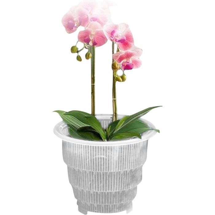 Pot D'Orchidée - Pots D'Orchidées | Pot Transparent Pour Orchidée ...