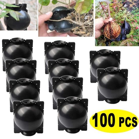Jardiniere - bac a fleur,Boules d'enracinement pour plantes, 100 pièces ...