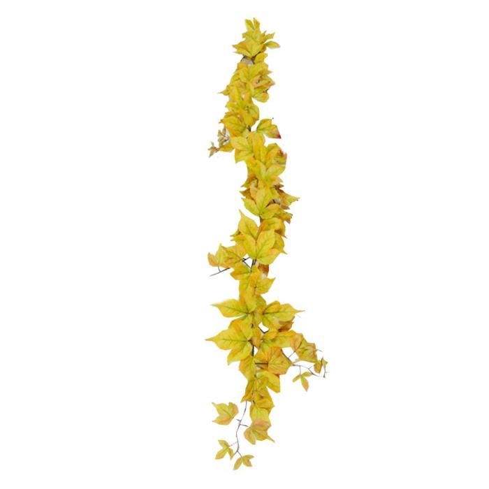 Mxzzand 8 m Vigne grimpante de 1.8m, fils en plastique et en fer ...