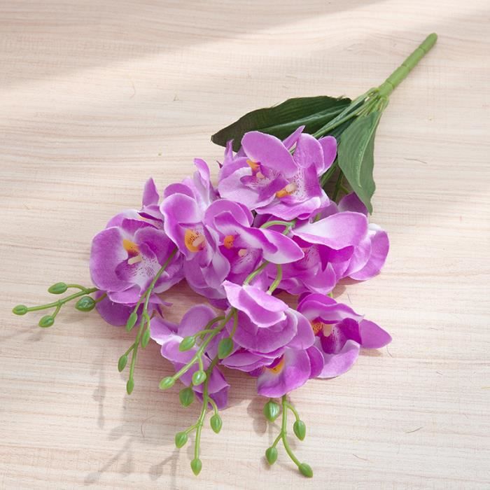 Orchidee De Soie