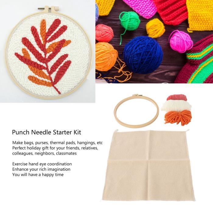 Kit de démarrage de broderie d'aiguille de poinon Kit de démarrage d ...