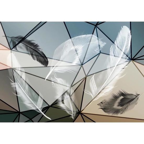 Papier Peint Plume Noir Et Blanc 3d Moderne Plume Geometrique Paysage ...