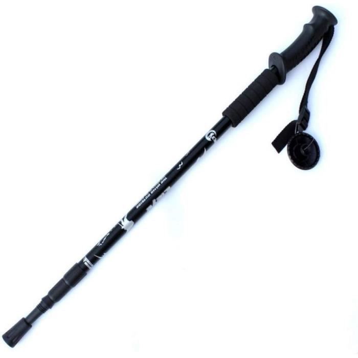 De Marche bâtons de de randonnée Marche Nordique de Trekking batons de ...