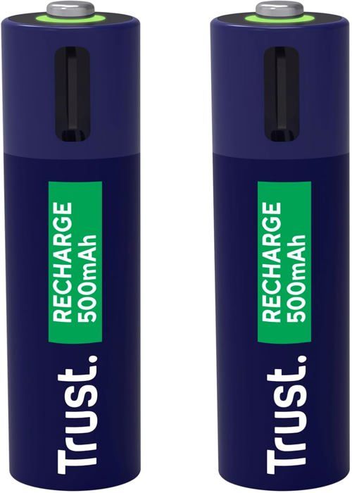 Piles AAA Rechargeables USB-C Lot de 2, Port USB-C Intégré, Accu ...