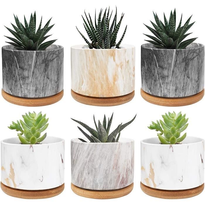 Pots de plantes succulentes, petit pot de plantes avec trous de ...