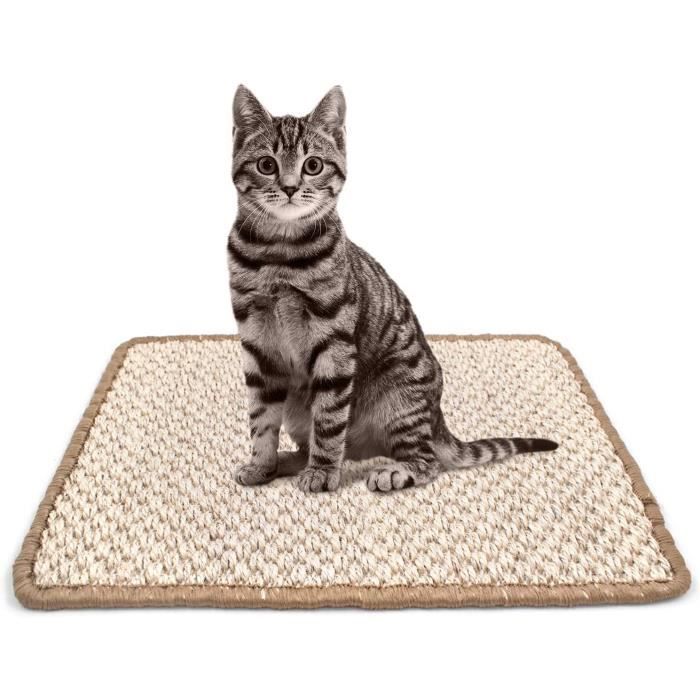Griffoir Pour Chat - À Gratter Sisal Naturel Horizontal Tapis Canapé ...
