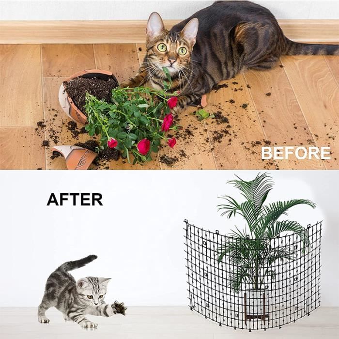 Tapis Anti Chat avec Pointes - YSTP - Dissuasion Répulsif - Transparent ...
