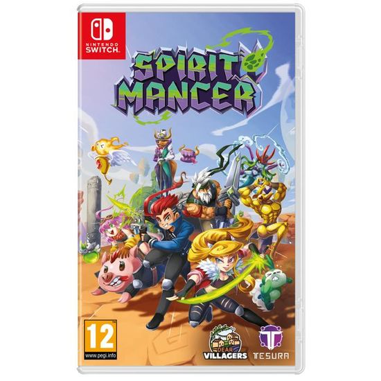 Spirit Mancer Nintendo Switch - Cdiscount Jeux vidéo