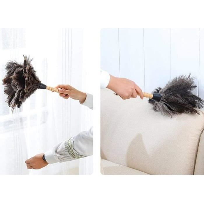 Plumeau avec Manche en Bois Massif Petit plumeau Brosse à poussière ...