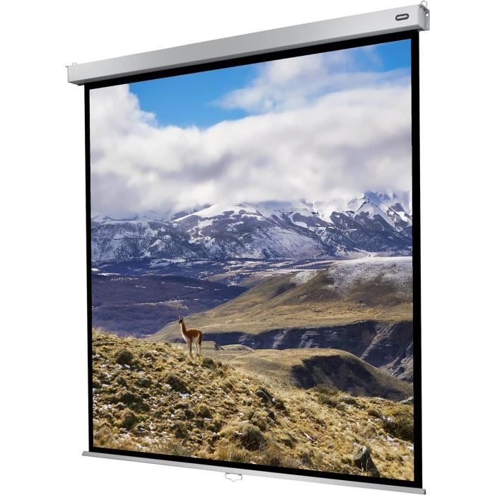 Écran de Projection Manuel - YOKULI - PRO Plus - 220 x 220 cm - Gain 1 ...