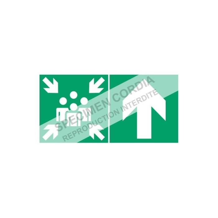 Kit de sécurité incendie - Panneau Point de Rassemblement Devant ...