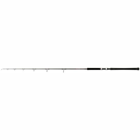 Canne spinning Shimano Forcemaster Catfish Fire Ball 85-200g - noir - 1 ...