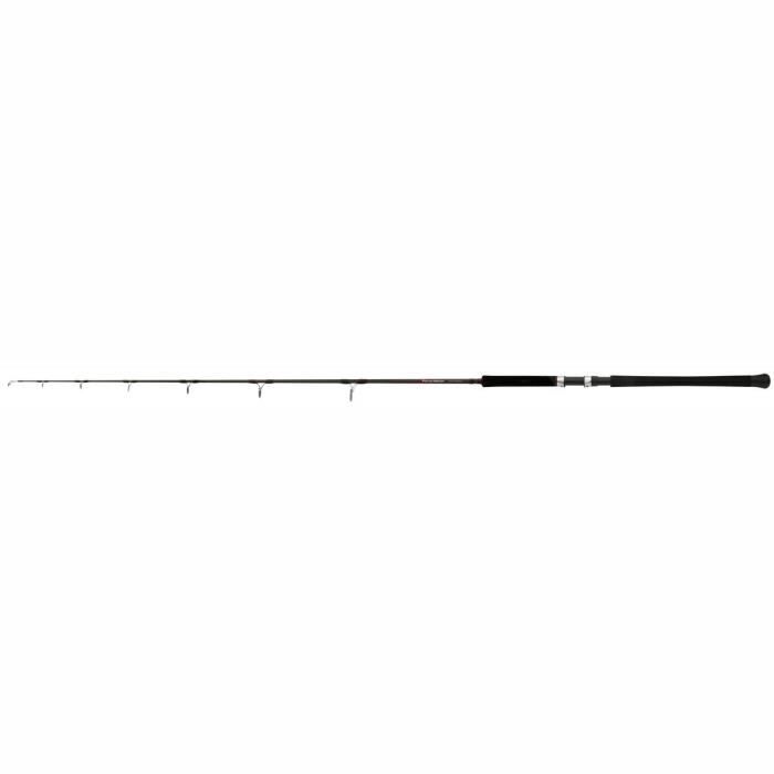 Canne spinning Shimano Forcemaster Catfish Fire Ball 85-200g - noir - 1 ...