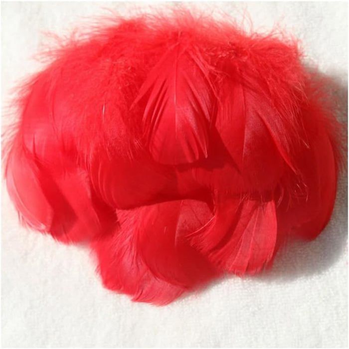 Lot de 100 plumes colorées naturelles artisanales - Plumes d'oie ...