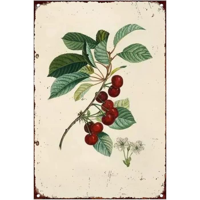 Métal Mur Affiche,Herbes Anciennes et Cerises,Vintage Étain Signe ...