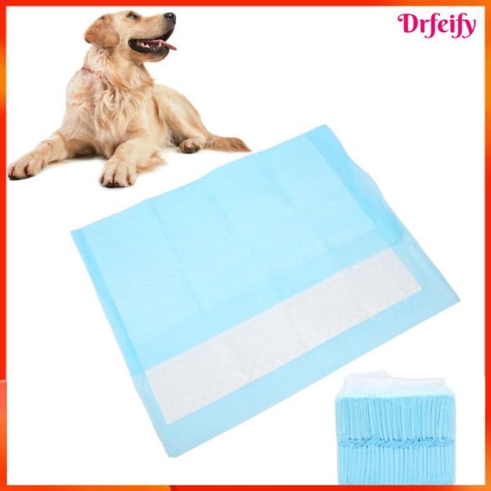 Drfeify Mini tapis de propreté jetables pour chien chat - Absorption ...