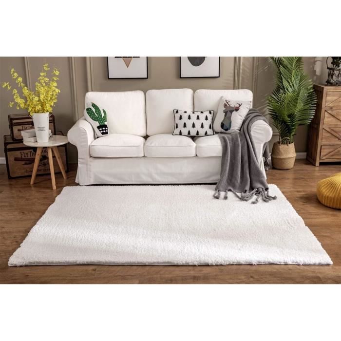 Tapis Salon Design Moderne Poil Court Rectangulaire Shaggy Tapis Salon Fausse Fourrure Laine ...