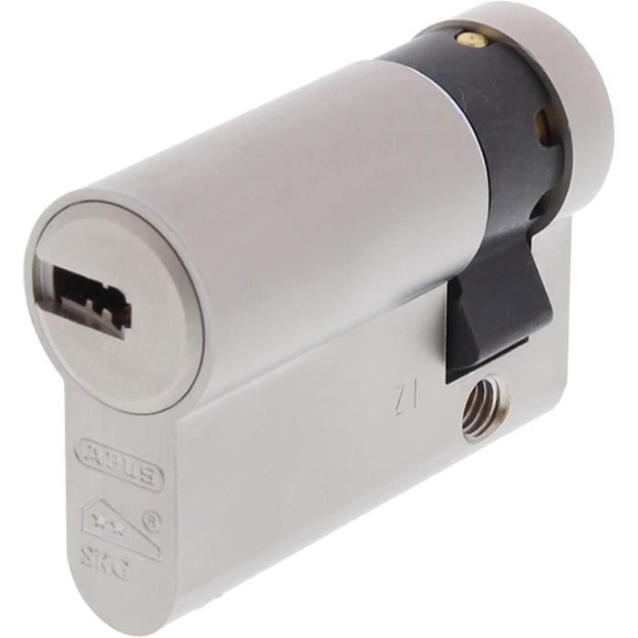 Lot de cylindres profilés en tant que demi-cylindre EC550 reproduction ...