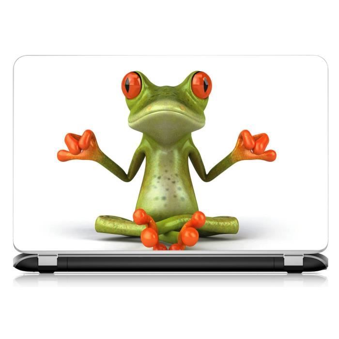 Stickers Autocollants ordinateur portable PC grenouille zen ref 629 ...
