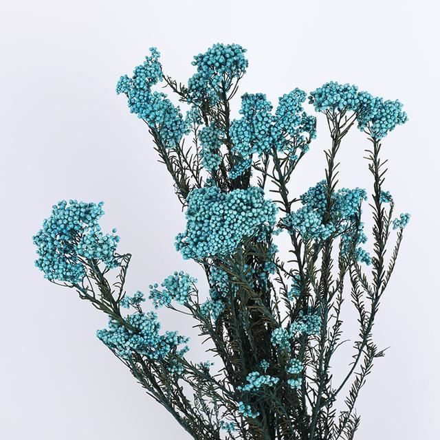 Objets décoratifs,Bouquet de fleurs de riz éternelles naturelles ...