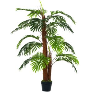 Palmier 2m - Cdiscount