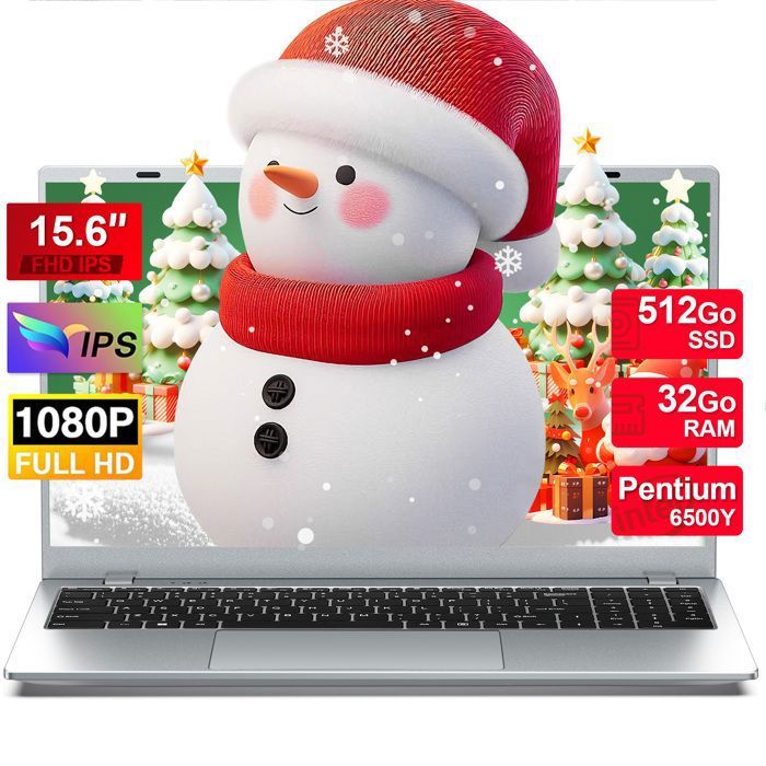 PC Portable -Intel Pentium Gold 6500Y(2C/4T)-32 Go RAM-512Go SSD-15.6 ...