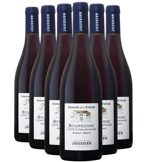 Domaine de l'Évêché Bourgogne Côte Chalonnaise Pinot Noir 2023 - Vin ...