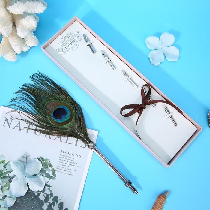 Fdit cadeau étudiant Kit stylo plume calligraphique style vintage ...