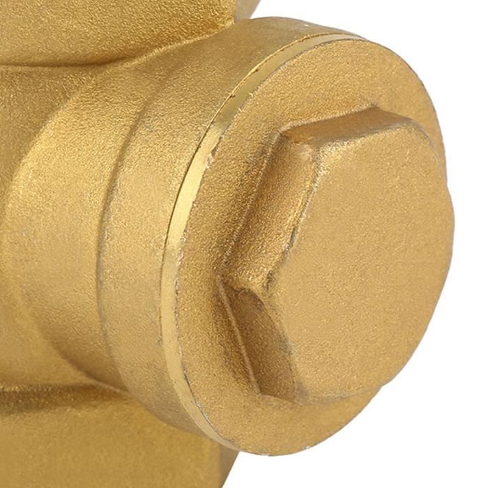 Clapet anti-retour - PWSHYMI - DN32 - Laiton - 232 PSI - Unidirectionnel - Cdiscount Jardin