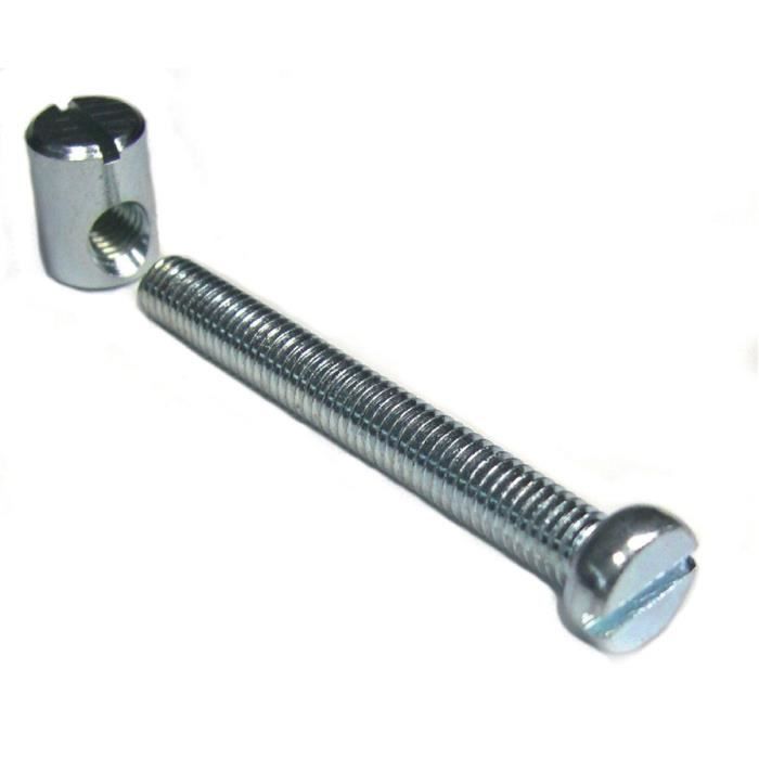 Vis cylindrique fendue et plot Strauss Vonderweidt x4 - Cdiscount Bricolage