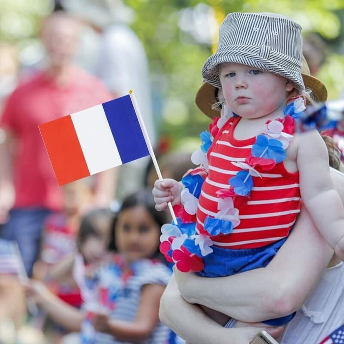 GABRIELLE Lot De 100 Petits Drapeaux Français Avec Baguette En ...