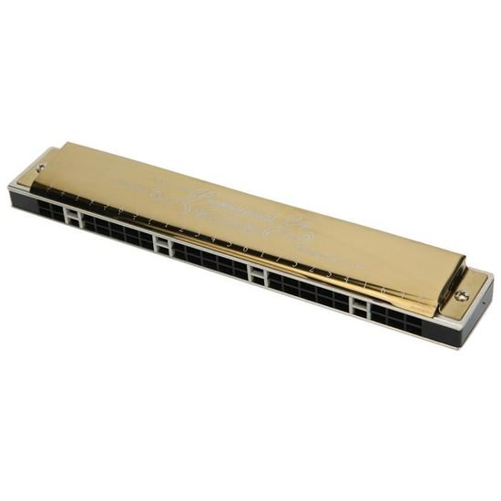 HENGL Harmonica Professionnel 24 Trous En Fa Polyphonique - Or - Achat ...