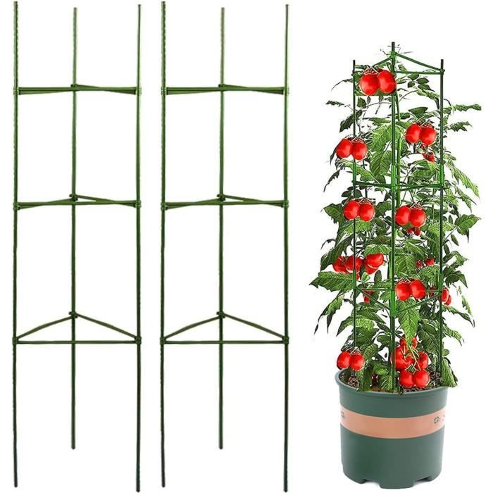 Jardin Plantes de Support, Cage à Tomates, Support Plante grimpante ...