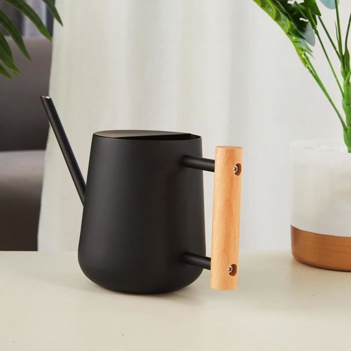 Arrosoir - DRFEIFY - 900ml - Acier inoxydable - Design à long bec ...