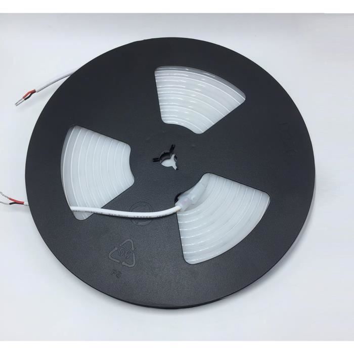 Dc12V Neon Led Strip 6500K Corde Au Néon Blanc Froid 5 Mètres Étanche ...