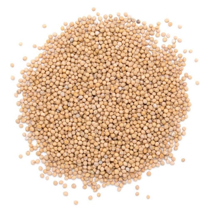 Moutarde en graines plante aromatique épices sachet de 50 g - Cdiscount ...