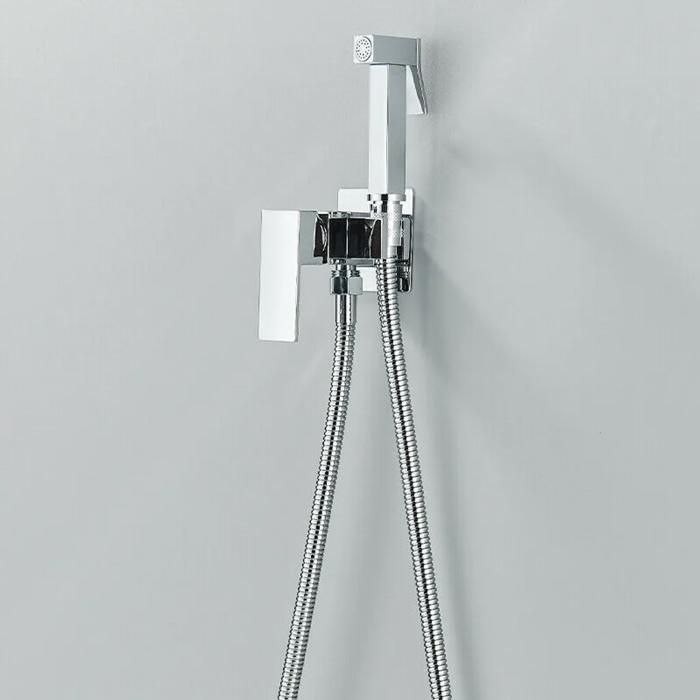 Bidet de douche avec support, pomme de douchette de toilette en acier ...
