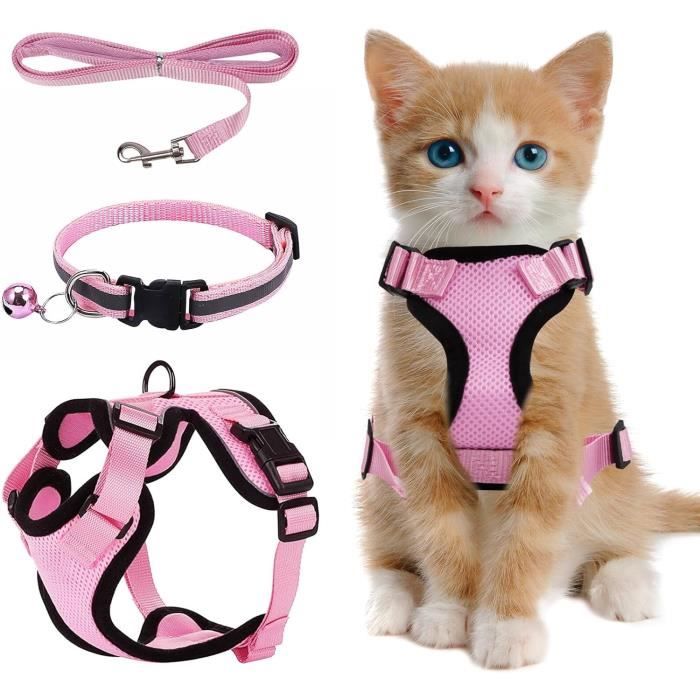 Ensemble Laisse Et Harnais Pour Chat Avec Bandes Réfléchissantes ...