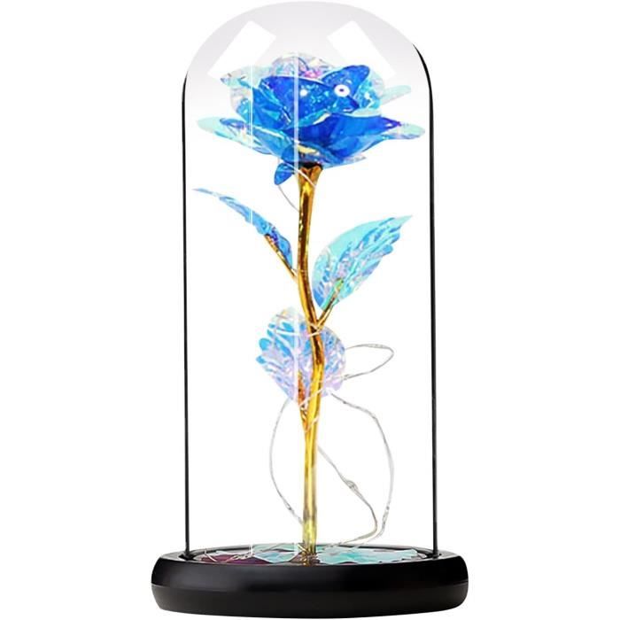 Rose Eternelle Fleur Eternel Fleur Éternelle Cadeau Saint Valentin ...