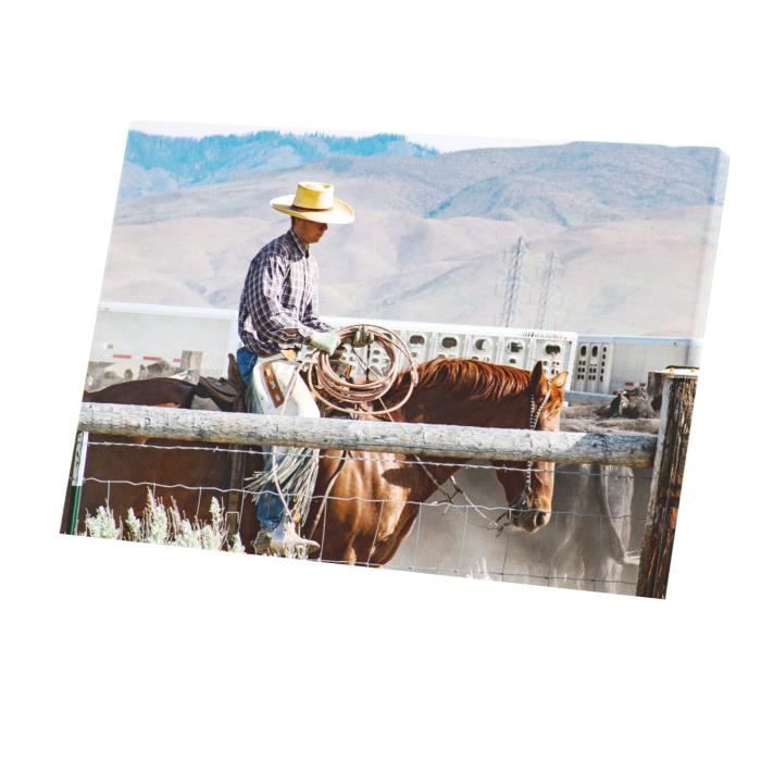Tableau Décoratif Cow-Boy Sur sa Monture Lasso en Main Cheval Texas ...