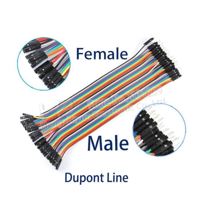 Male VS Female-30cm-40pin -10CM 20CM 30CM 40PIN arc en ciel câble Dupont ligne mâle femelle tête ...
