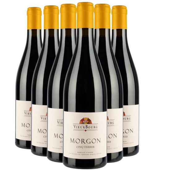 Morgon Cinq Terres Rouge 2021 - Lot de 6x75cl - Clos du Vieux Bourg ...