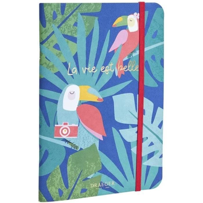 Draeger - Carnet de Notes A5 Toucans - Design Fun et Coloré ...