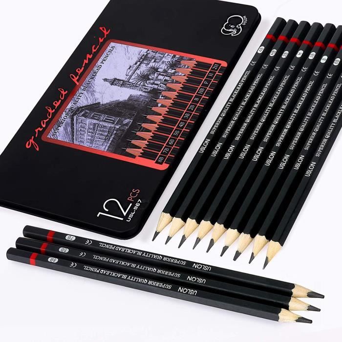 Crayon de Dessin, Crayon Dessin, Crayon de Croquis, 12pcs Artiste Set ...