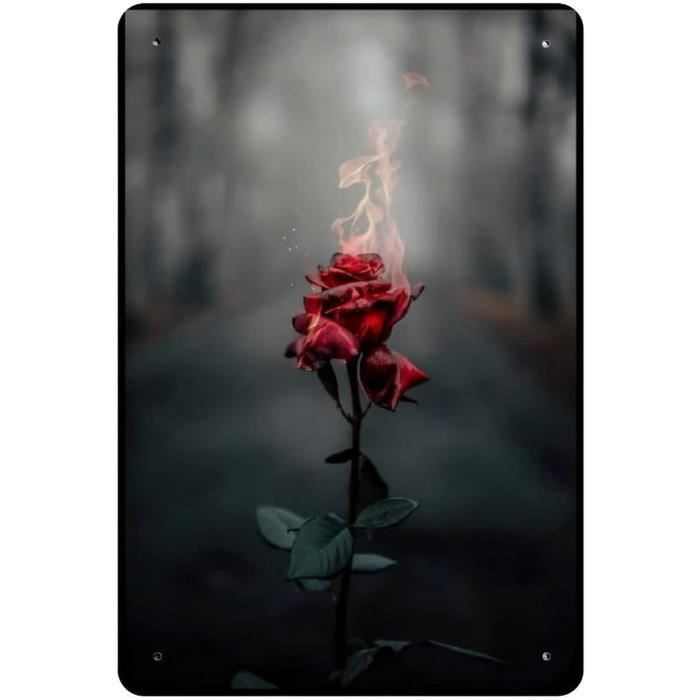 Plaque Vintage En Métal Avec Inscription « Burning Rose » - Décoration ...