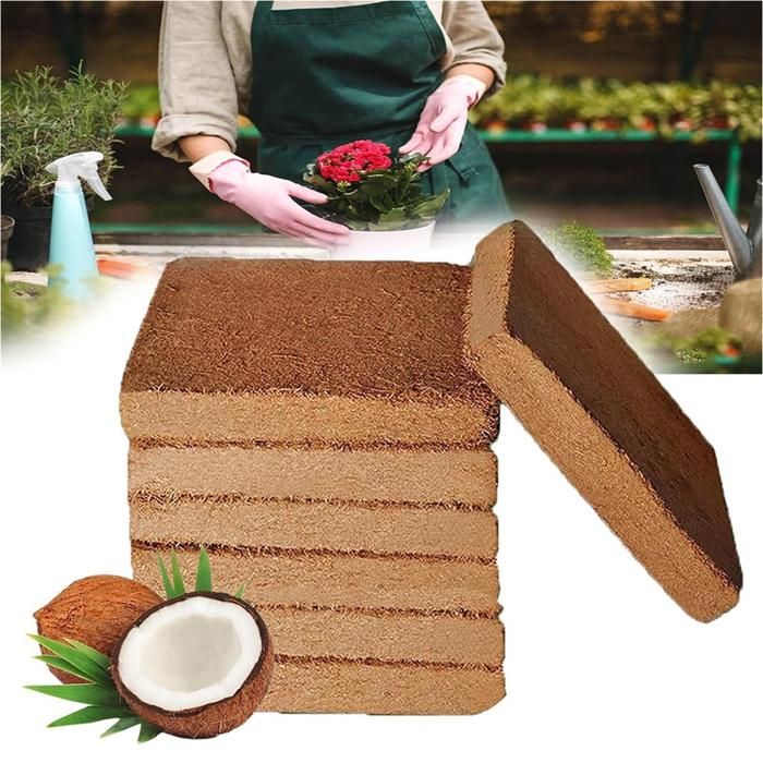 10 Pièces de Fibres de Noix de Coco Biologiques pour Plantes, Briques ...