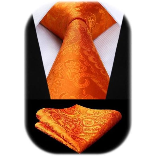 Cravate Homme Paisley Cravates En Soie Pour Hommes Mariage Cravatte Et ...