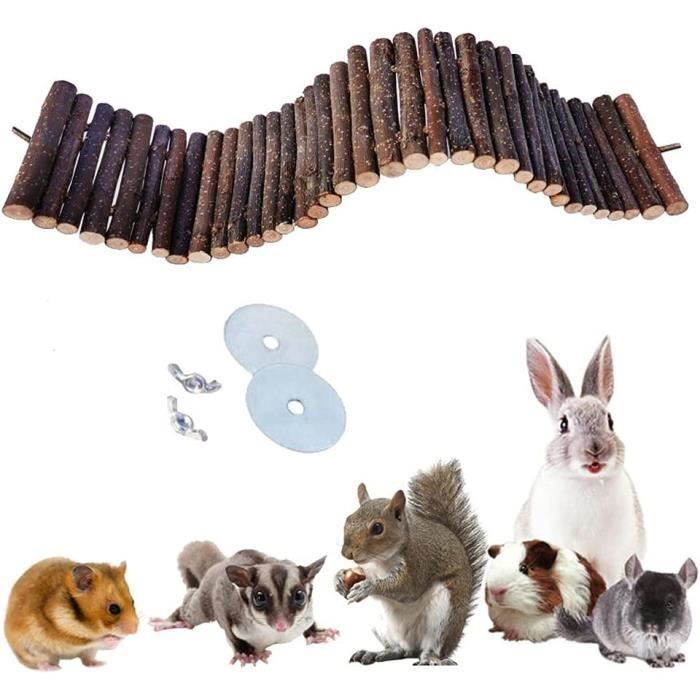 Qanye Ponts de Suspension pour Hamster, Pont eois Jouets pour Hamster ...
